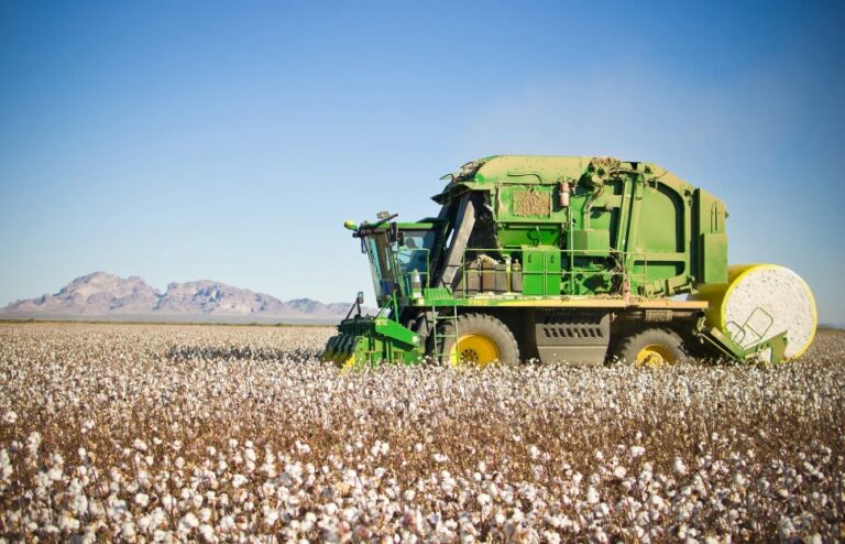How the Cotton Combine Harvester Boosts Efficiency in Large-Scale ...